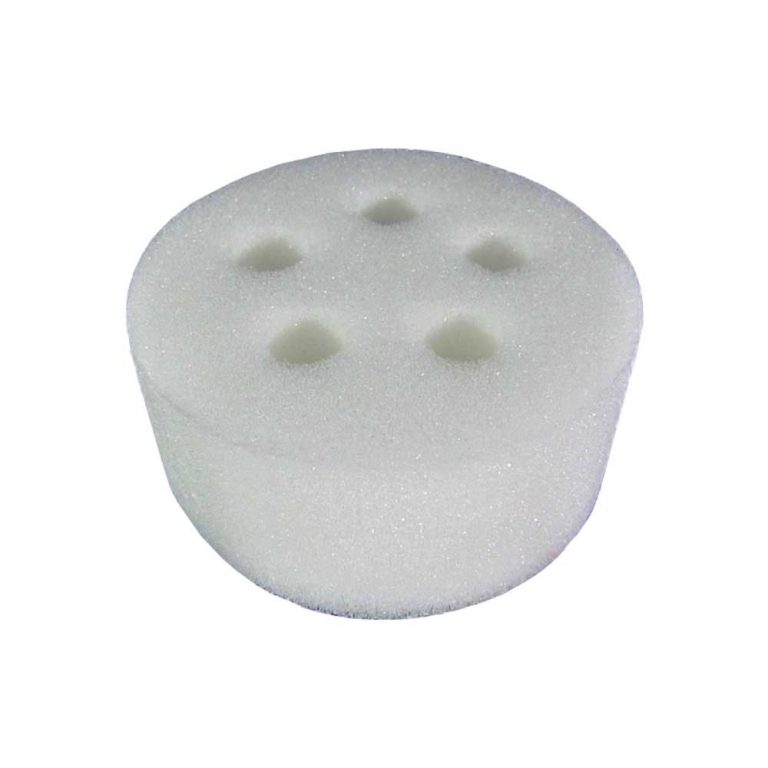 5 holes sponge – Aesthe Source
